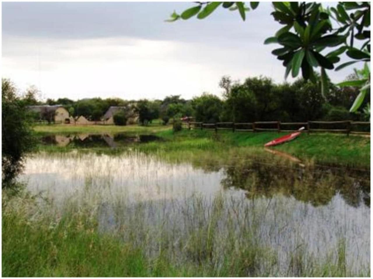 Ukutula Lion Park & Lodge - Southern Sky Adventures
