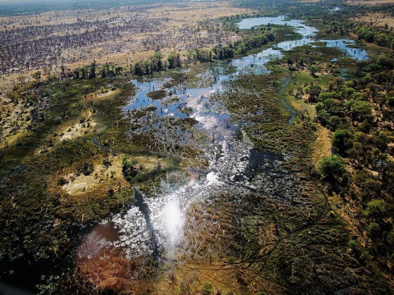 Okavango Delta - Southern Sky Adventures